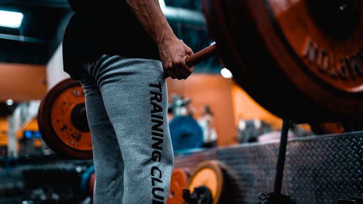 Exercising and Caring for the 5 Biggest Muscles in the Body – ZOZOFIT