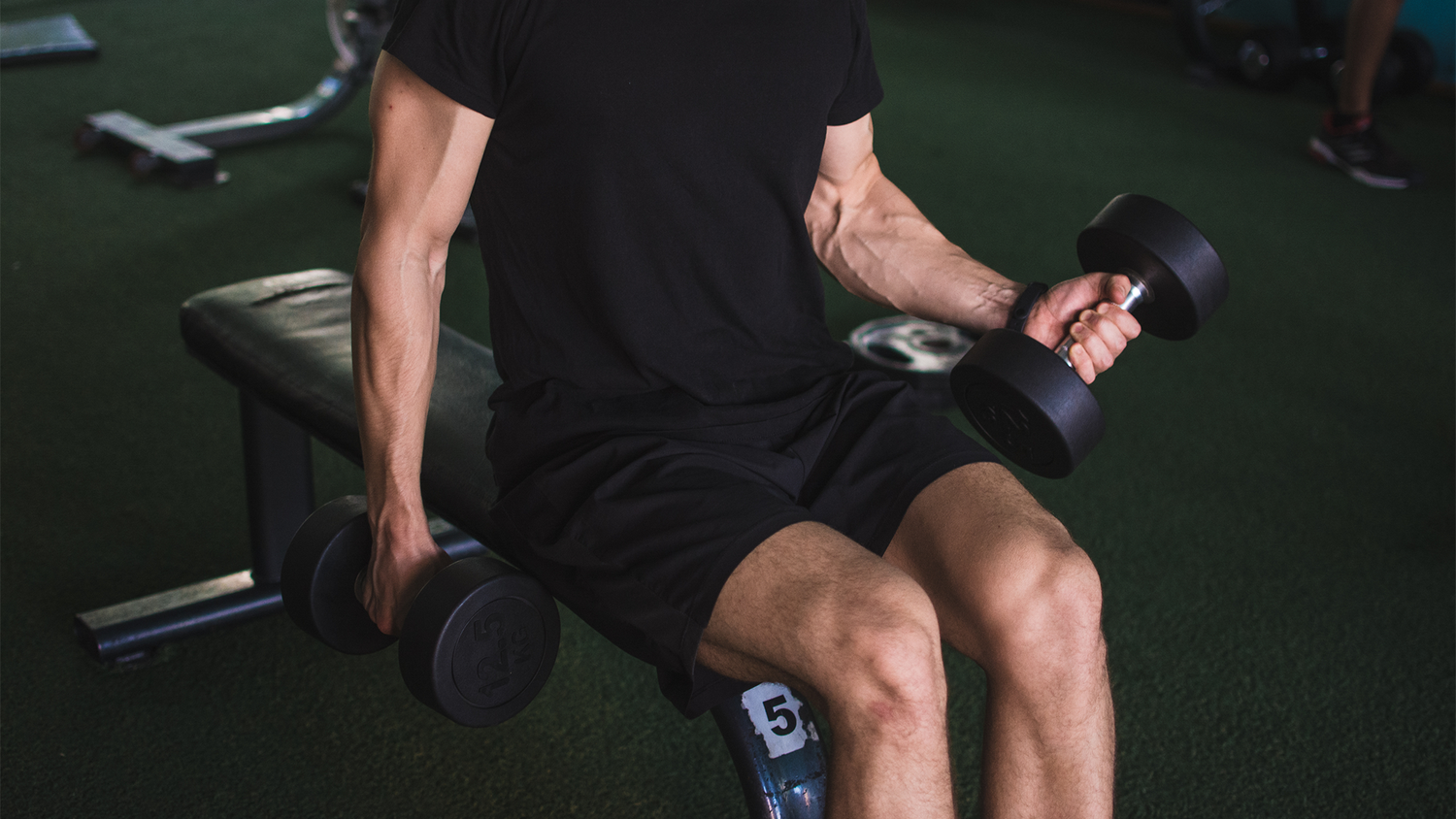 How To Gain Muscle Fast With a Healthy Workout Routine – ZOZOFIT